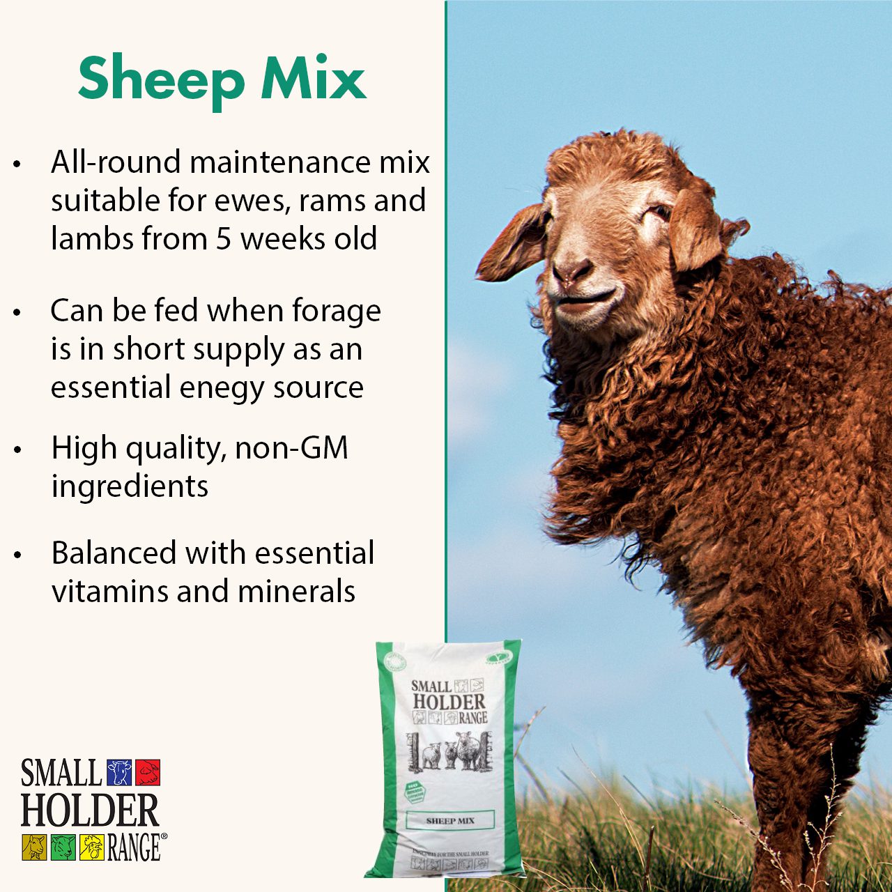 Larton Livery | Allen & Page Sheep Mix 20kg