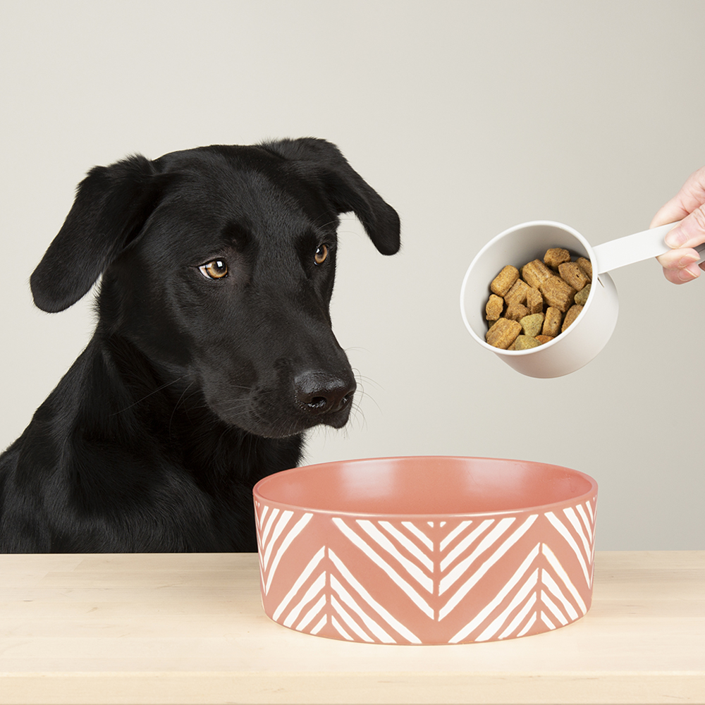 Larton Livery | Scruffs® Aztec Terracotta Food Bowl